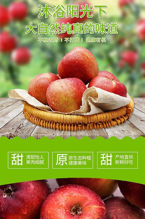 苹果首页图标