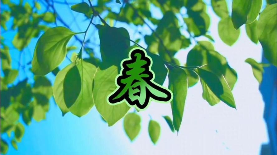 春壹视频图标
