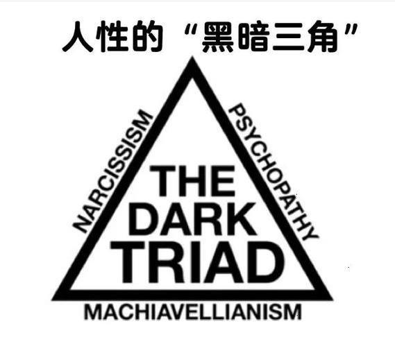 黑暗三角人格测试截图