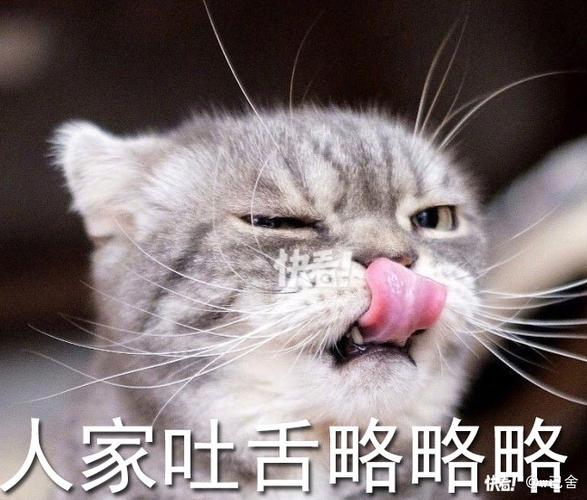 又凶又可爱的表情包图标