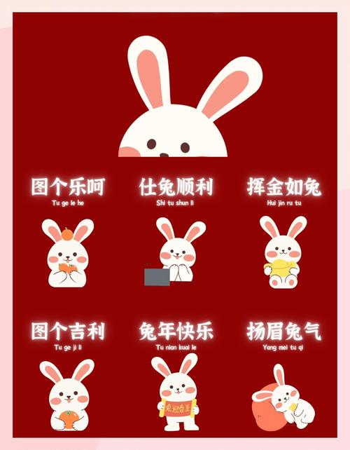 兔喜共配最新版图标
