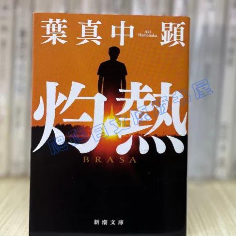 灼热免费阅读全文图标