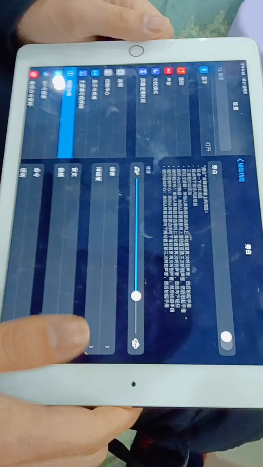 ipad屏幕成了黑白色了怎么调过来图标