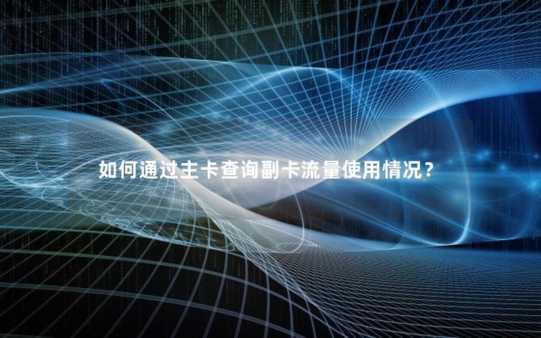 怎么查看副卡流量使用情况图标