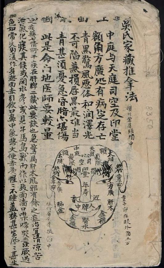 推拿学电子书图标