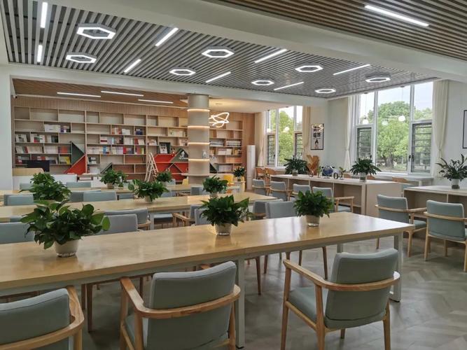 Z-library电子图书馆入口图标