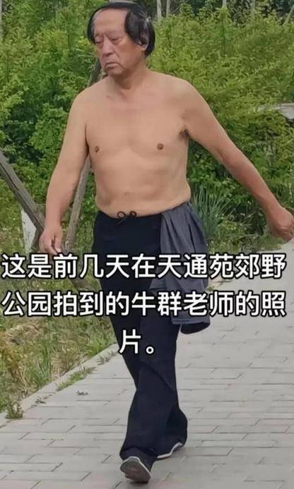 牛群现在在干什么工作图标