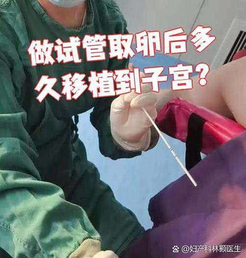 做试管取卵后多久移植到子宫图标