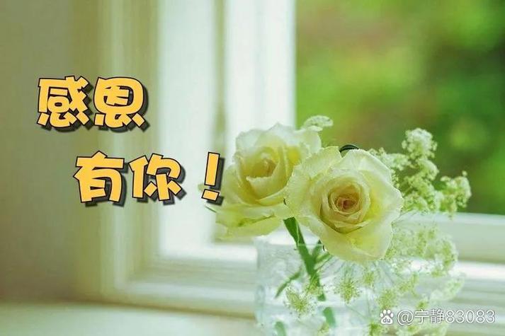 感恩美好的一切,感恩一切的美好游戏截图