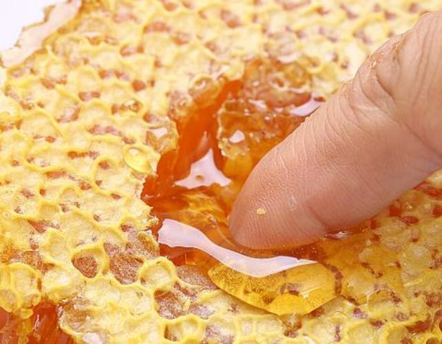 蜂巢的食用方法图标