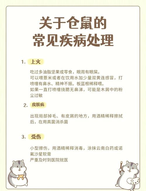 仓鼠腿瘸了怎么办图标