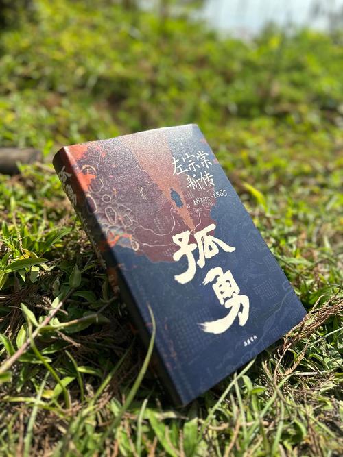 孤山树下著截图