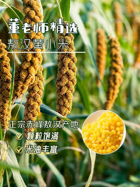 小黄米放了2年了但是没开封图标