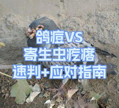 人被丧尸咬了要打针吗图标