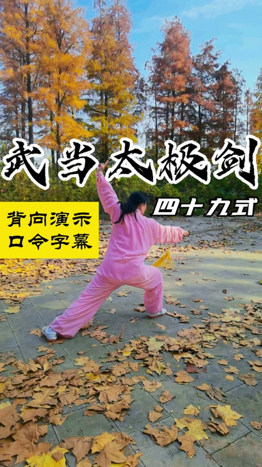 太极剑初学入门基础教学视频游戏截图