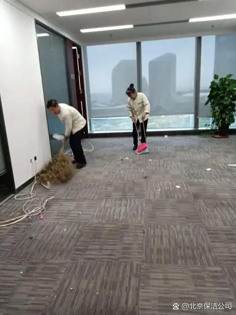 自己清洗地毯十大妙招截图