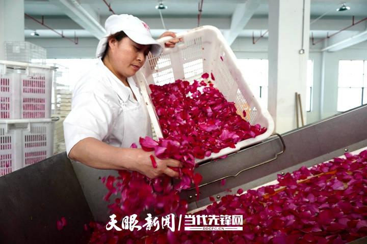 贵州省食品有限责任公司图标