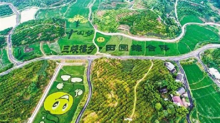 哪里产橘子图标