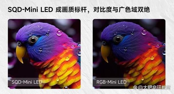 电视最佳对比度和亮度截图