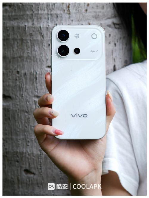 VIVO有照片实况吗?图标