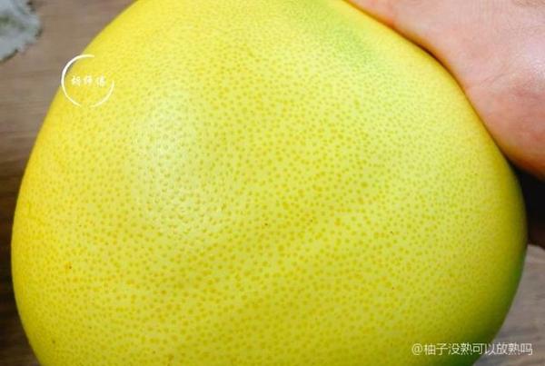 没熟的柚子放着能熟吗图标