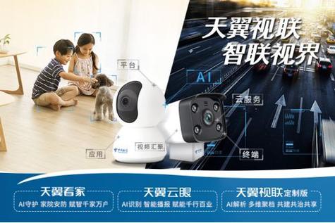天翼看家怎么用电脑看图标