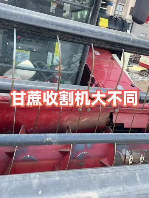 广西和云南甘蔗收割季的差别截图