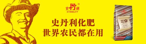 史丹利广告2008图标