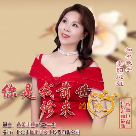 前世修来今生缘的原唱图标