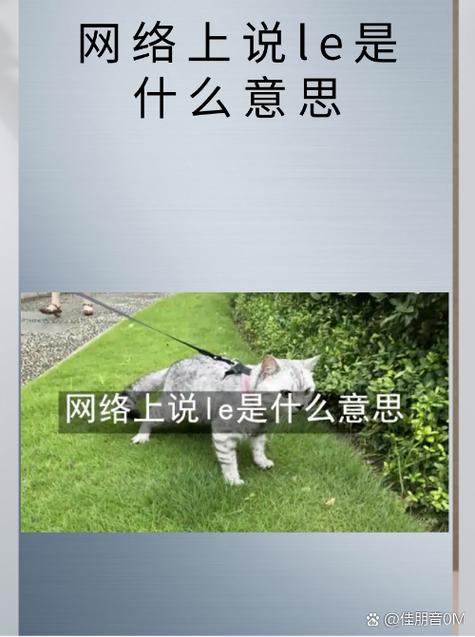 LE代表科目的缩写截图