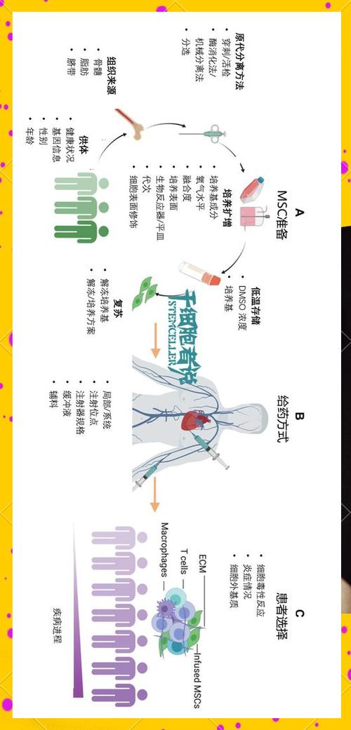 干细胞不适宜人群缩略图