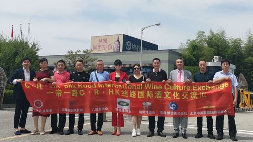 中酒联盟酒业协会会员图标
