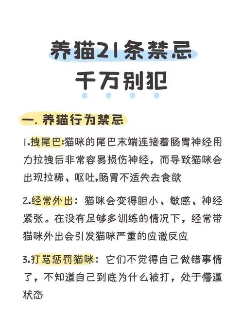 无证养猫可以举报吗