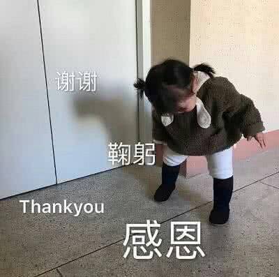 “收到,谢谢”表情包图标
