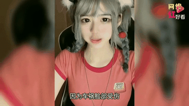 安妮网络截图