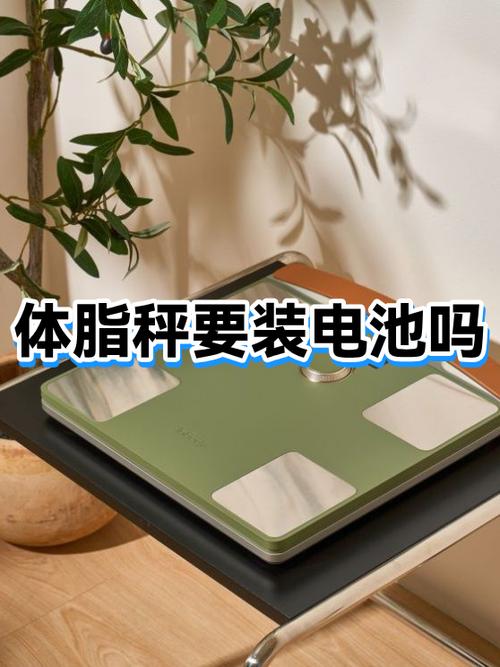 体脂秤准确吗