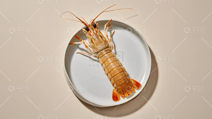 皮皮虾以前的版本图标