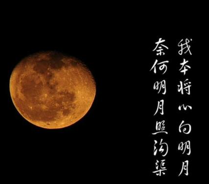 明月落我怀 陆淮书包网图标