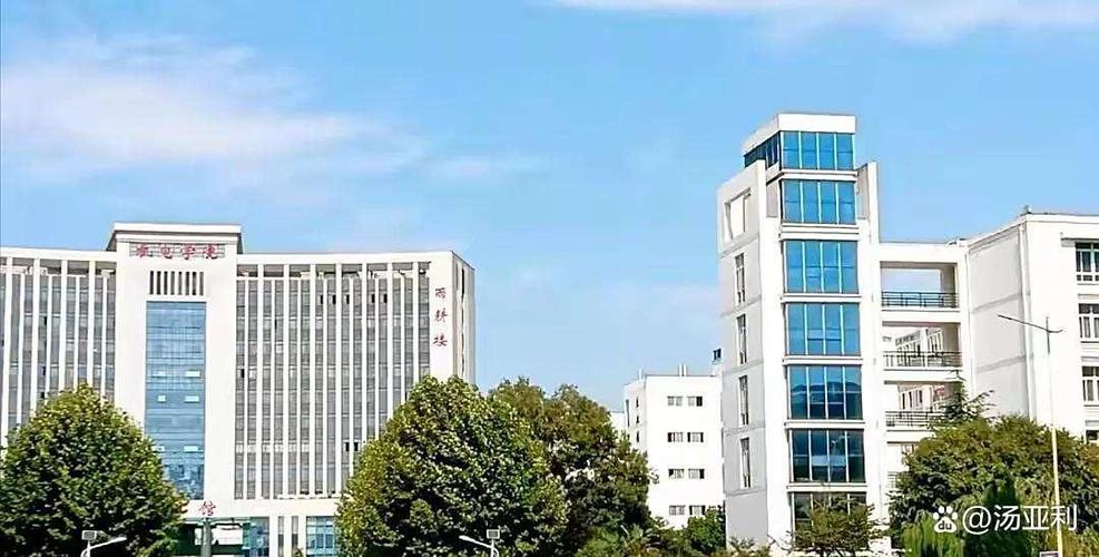 芜湖有财经大学图标