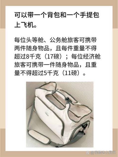 坐飞机书包可以随身吗图标