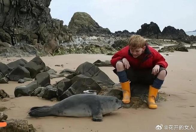 喜欢海豹的人的性格图标