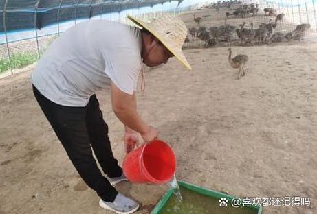 老家零投资项目