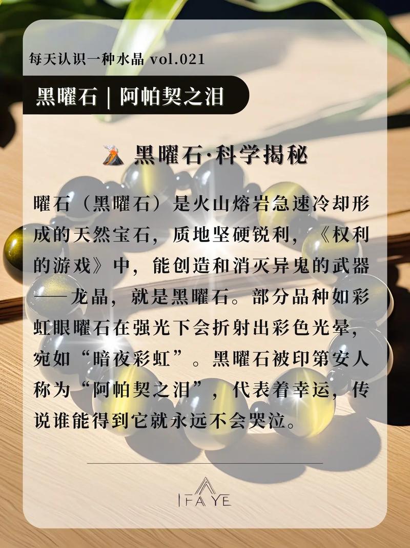 黑色契约的寓意和象征