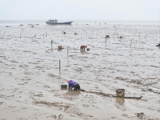 青口赶海视频大全图标