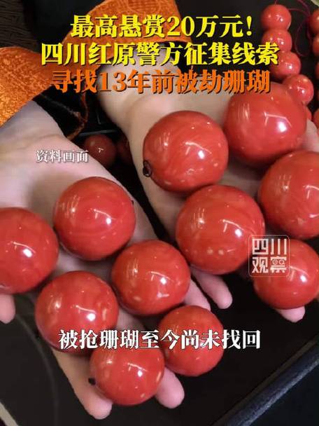警方回应悬赏20万寻红珊瑚截图