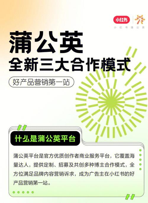 蒲公英联机平台怎么注册账号截图