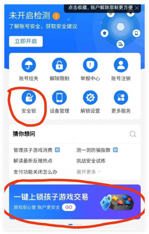 支付宝支付安全锁怎么设置图标