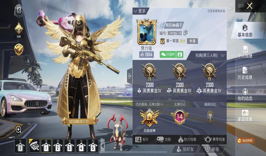 和平精英兵团LV9图标