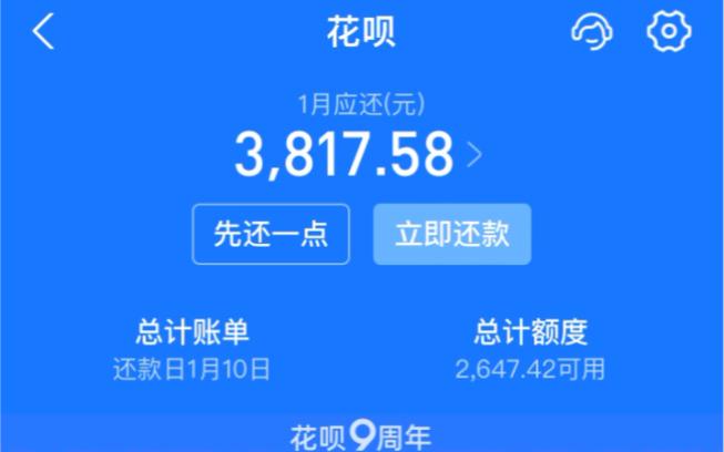 京东白条可以还花呗吗图标
