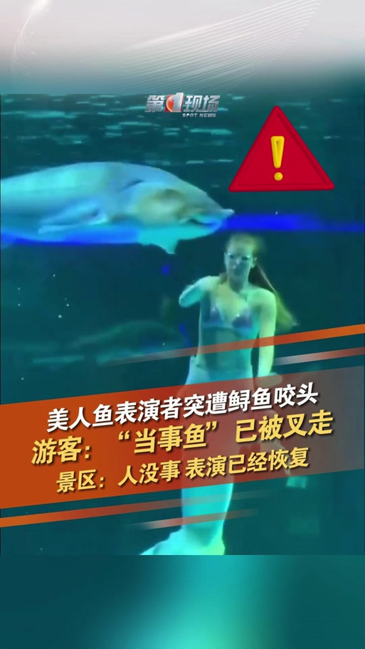 美人鱼吃美人鱼图标